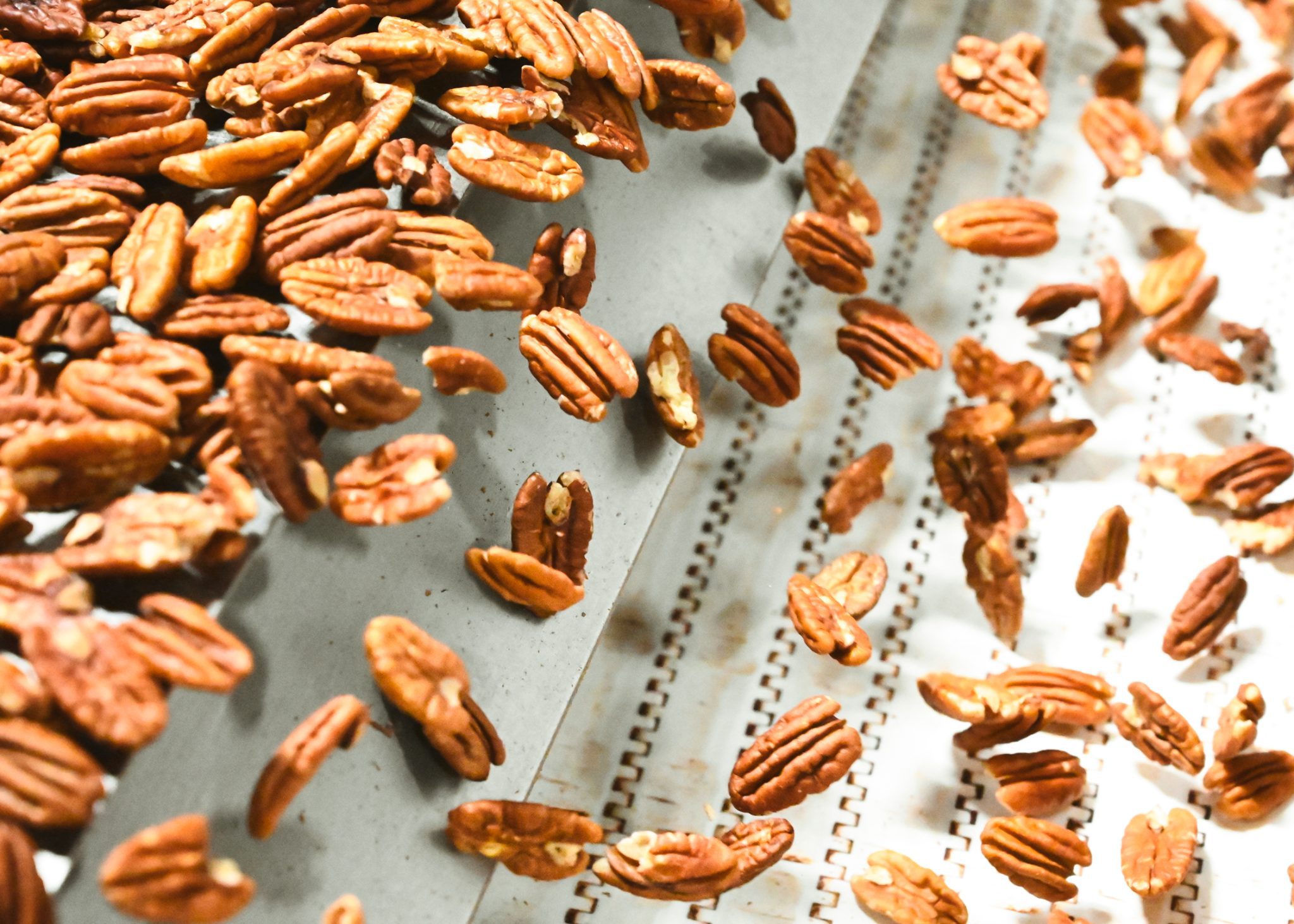 South Georgia Pecan: Leading the Way in Quality and Innovation - South ...
